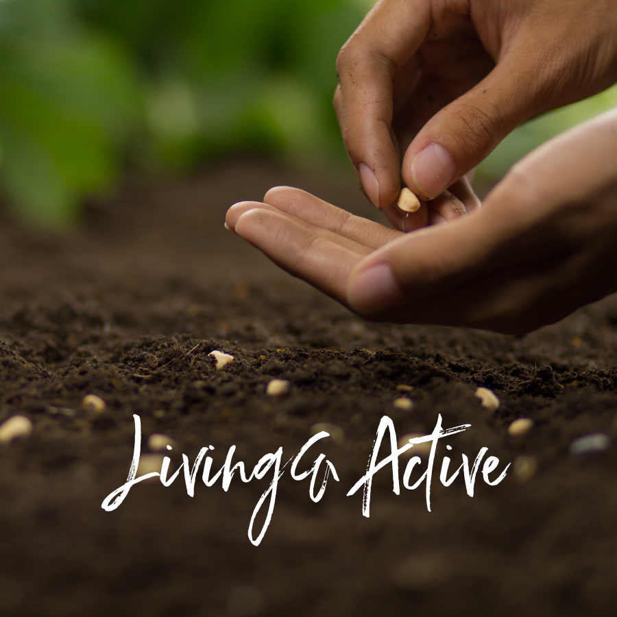 Helping people follow Jesus | Blue Ridge Community Church